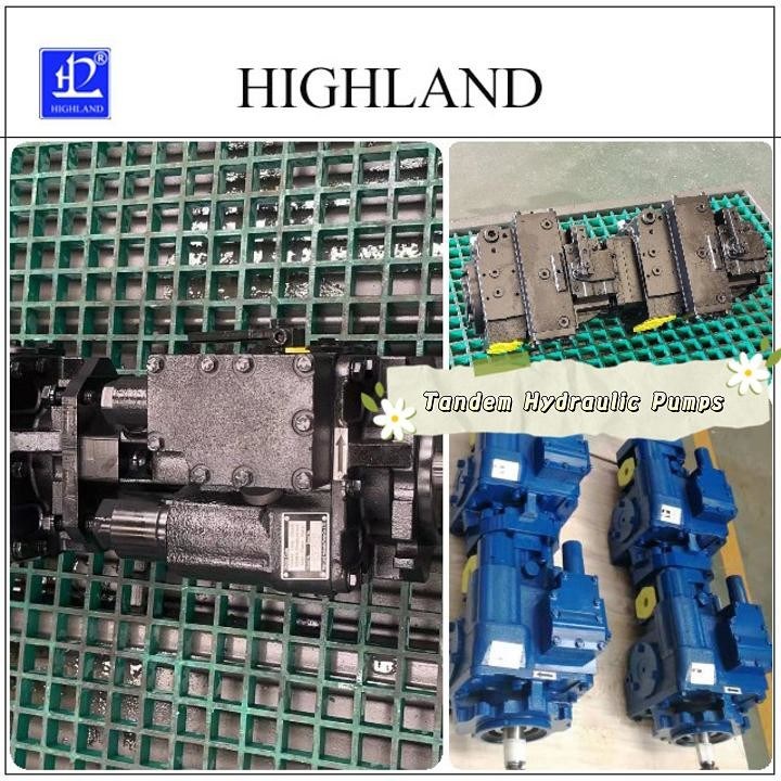 1 Year Cast Iron Tandem Hydraulic Pumps with Black Or Blue Color